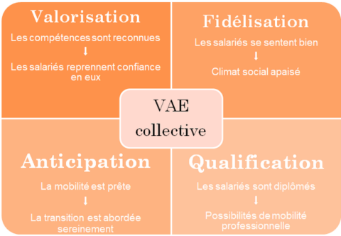 VAE pour les entreprises | VAE Conseil Transition et Carrière